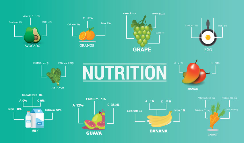 Mastering Nutrition Basics: A Guide to Macronutrients, Micronutrients ...
